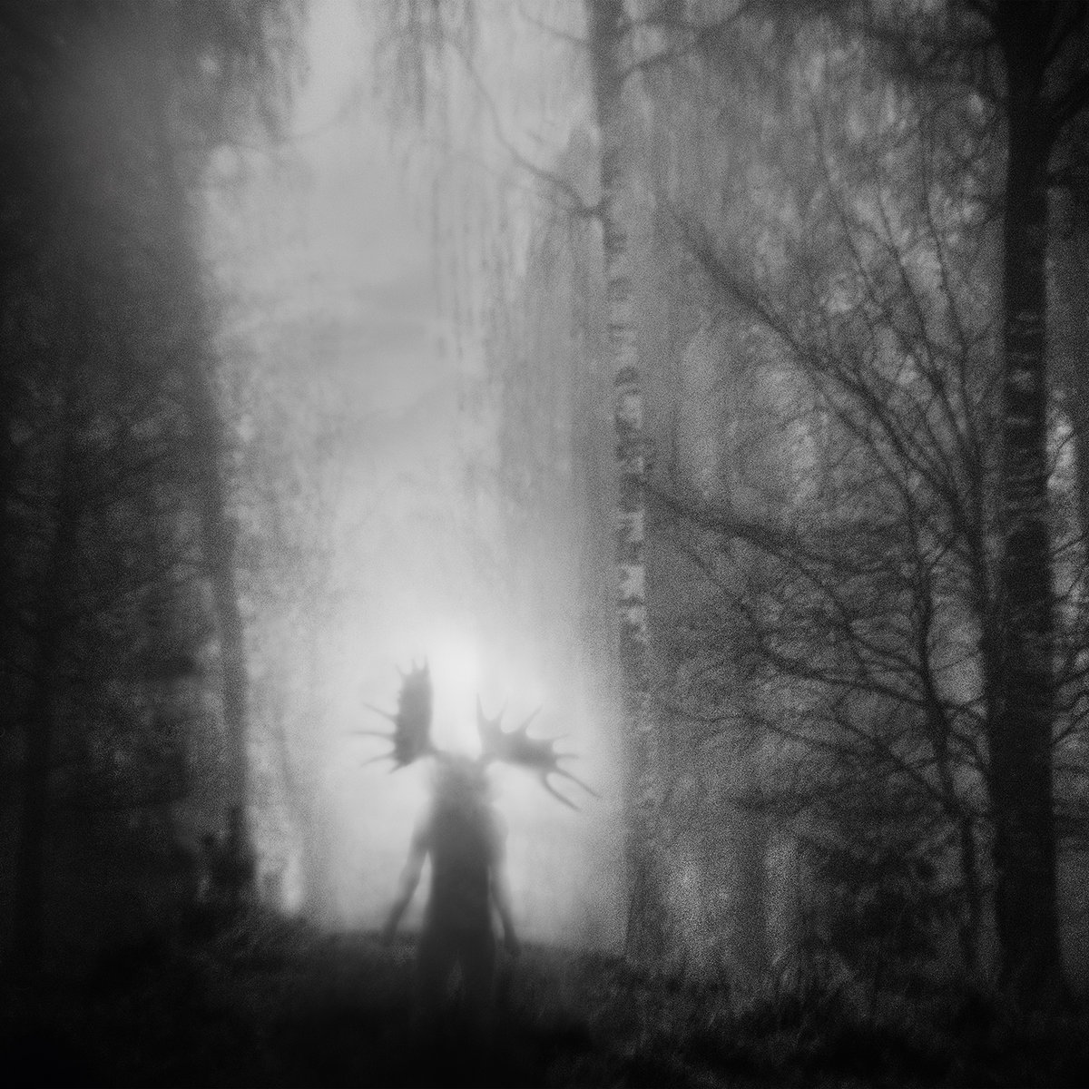 Iterum Nata - From the Infinite Light (Nordvis) ⋆ Ave Noctum